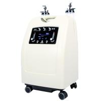 China Hot sale Medical 10L Household double flow oxygen generator & home use Oxygen Concentration for sale