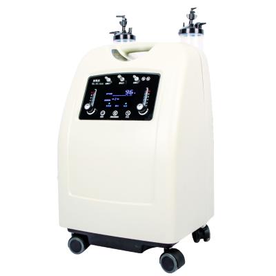 China Hot sale Medical 10L Household double flow oxygen generator & home use Oxygen Concentration for sale