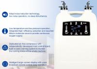 China Hot sale Medical 10L Household double flow oxygen generator & home use Oxygen Concentration for sale