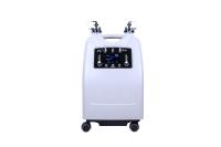 China Hot sale Medical 10L Household double flow oxygen generator & home use Oxygen Concentration for sale