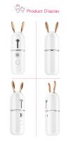 China Newest Factory Price No Leakage Upgraded Mini Rabbit Shape Nano Sprayer / Water replenishment instrument for sale