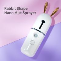 China Newest Factory Price No Leakage Upgraded Mini Rabbit Shape Nano Sprayer / Water replenishment instrument for sale