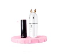 China Factory Price Upgraded No Leakage Mini Cat Shape Nano Sprayer / Water Replenishment Instrument SUCEWT04 for sale