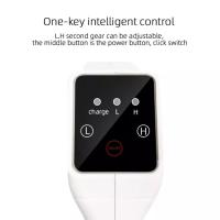 China Touch Switch Homecare Medical Equipment Portable Mist Disinfecting Sprayer Blu Ray for sale