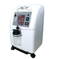 China 5L  96% High Purity Portable Oxygen Concentrator FA 380VA for sale