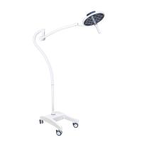 China Dental Hospital Emergency Equipment Decorative Shadowless Lamp 3w for sale