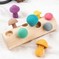 China Mushroom Picking Game Rainbow Block Toy Montessori Educational Wooden Baby Toys for sale