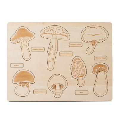 China 2 To 4 Years Mushroom Cognition Board Baby Developmental Exercises Hands On Ability for sale