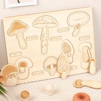China 2 To 4 Years Mushroom Cognition Board Baby Developmental Exercises Hands On Ability for sale