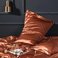 China 100% Silk Pillowcase For Hair 22mm Mulberry Silk Pillow Cases With Logo for sale