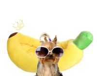 China Plush Soft Cute Dog Bed Banana Shape Pet Cushion Mat Pet Sofas for sale