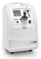 China 5L Oxygen Concentrator 24 Hours Working Available France Molecular Sieve Bed for sale