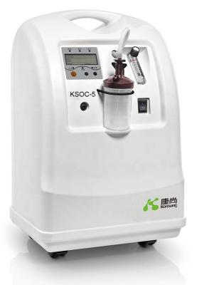 China 5L Oxygen Concentrator 24 Hours Working Available France Molecular Sieve Bed for sale