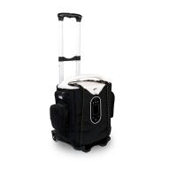 China 7kgs High Flow Oxygen Machines 1L 2L OEM Medical Care for sale