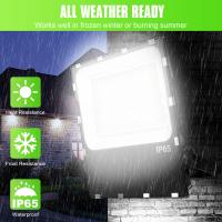 China Waterproof 100w Led Floodlight 190lm/W AC100~277V Led Security Light for sale