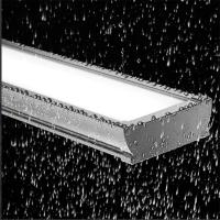 China 4FT 40W LED Batten Light with 150LM/W High Efficiency for Cold Storage and Industrial Use for sale