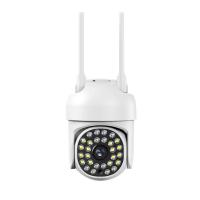 China A13 1080P HD 360 Degree PTZ Security Camera with Night Vision Two Way Audio for Indoor Outdoor Use for sale
