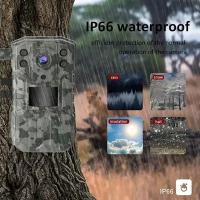 China Practical 14MP Hunting Trail Camera , Night Vision 4G Wildlife Camera for sale