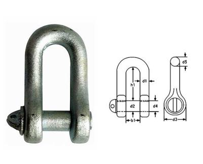 China DIN82101 Hoist Accessories A D Shackle Customized for sale