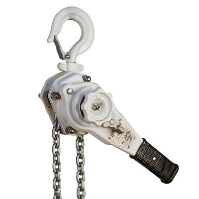 China JTVG-H Corrosion-Resistant Lever Hoist with 360° Rotation and Automatic Safety Brake for Industrial Applications for sale