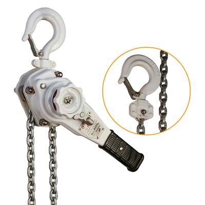 China Corrosion Resistant Lever Hoist 0.25-9T with G80 Load Chain Double Cover Brake Protection for sale