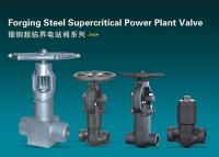 China Forged Steel Supercritical Power Plant Valve for sale