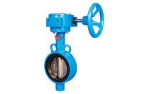 China Concentric Butterfly Valve for sale