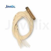 China J30JB 25Pin Glass Sealed Micro Rectangular Aerospace Connector Plug 200mm Wire for sale