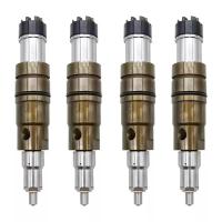 China Truck E2011 XPI Injector 2086663 for Scania 2057401 / 2488244 / 2086663 for sale