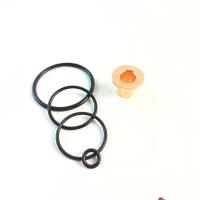 China XPI Injector Repair Kit For Diesel Engines 2872544 Euro Stage IV Standard for sale