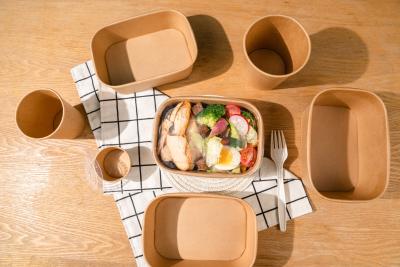 China Zeeheng Recyclable Rectangle Paper Bowl made from PE coated kraft paper suitable for food delivery take away and food service for sale