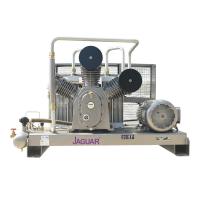 China Powerful Pressure and 20 Bar Voltage JAGUAR Flat Piston Air Compressor for Industrial for sale