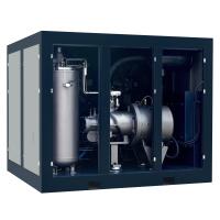 China 175HP Two Stages Variable Speed Rotary Screw Air Compressor for Big Applications for sale