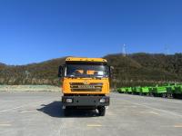 China Shacman Customize  380HP  Cargo Transport Tipper Dump Dumper Lorry Truck for sale