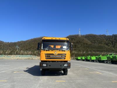 China Shacman Customize  380HP  Cargo Transport Tipper Dump Dumper Lorry Truck for sale