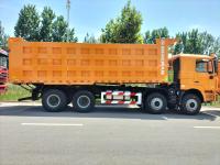 China F3000 8x4 SHACMAN Mining Tipper 460HP with 12JSDX220TB Transmission for sale