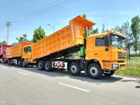 China F3000 8x4 SHACMAN Mining Tipper 460HP with 12JSDX220TB Transmission for sale