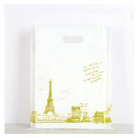 China Recyclable LDPE Plastic Ziplock Bags Clothes Packaging Frosted Plastic Bags Suitable for Apparel Protection for sale