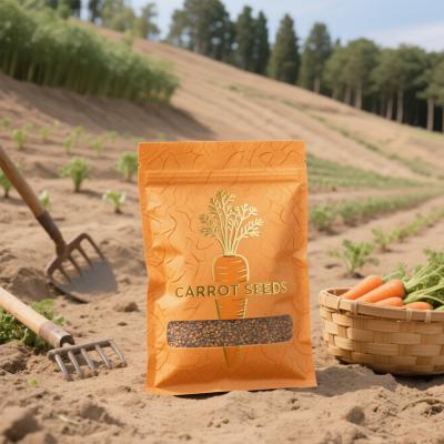China Customized Logo Printing Aluminum Seed Plastic Bag Reused Sealed Anti insect Aluminum Foil Zipper Bag Packaging Solution for sale