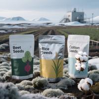 China Gravure Printing One Stop Seed Packaging Bag Customized Logo Printing Vegetable Flower Grain Oil Seed Plastic Pouch for sale