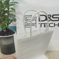 China Service Provided Flexible Surface Handling Flexo Printing Customized Brown Kraft Paper Bags with Logo Handles Recyclable Degradable for sale