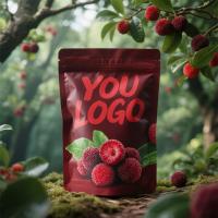 China Gravure Printing Food Grade Snack Plastic Bag Digital Food Packaging Zipper Top Aluminum Foil Safe Proof Mylar Candy Nut Packaging for sale