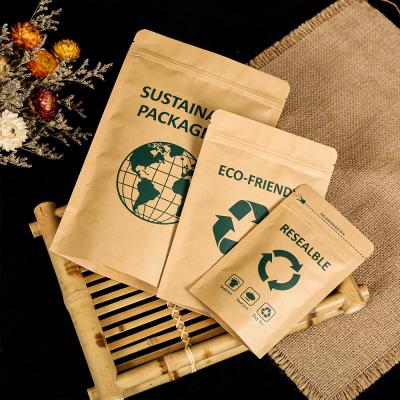 China Food Industrial Biodegradable Custom Printed Kraft Paper Packaging Ziplock with Transparent Window Coffee Beef Jerky for sale