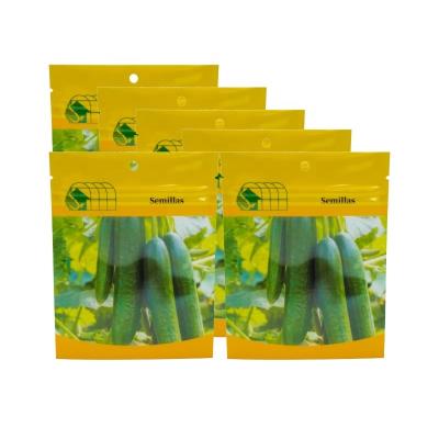 China PE Plastic UV Printed Biodegradable Moistureproof Holographic Mylar Ziplock Bag 3 Side Seal Seed Flower Bag UV Printing Food Packaging for sale