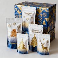 China Zipper Top Sealing Printed Christmas Patterns Food Packaging Bag Plastic Mylar Bag Biscuit Candy Snack PET AL PE Material Logo for sale