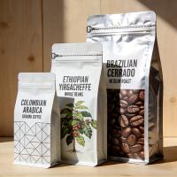 China Custom Printed High Barrier Protection Coffee Bag with Aroma Lock Technology Stand-up Pouch for sale