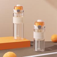 China Agriculture Summer Double Drink Cup with Lid Open Straw Cup 700ml Fashion Water Cup Gift for sale