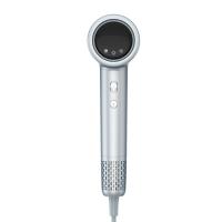 China Customize Speed Brushless Motor Salon Hair Dryer Styler for Hair Care Customer's Logo for sale