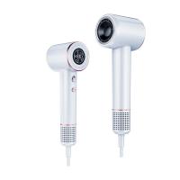 China Customize Speed Brushless Motor Salon Hair Dryer Styler for Hair Care Customer's Logo for sale
