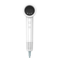 China Customize Speed Brushless Motor Salon Hair Dryer Styler for Hair Care Customer's Logo for sale
